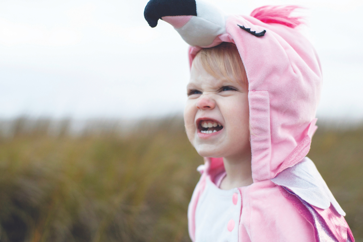 The terrible twos through your toddler's perspective - Tots to Teens